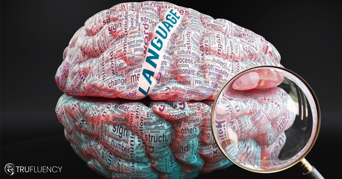 What Happens in your Brain when you Learn a New Language?